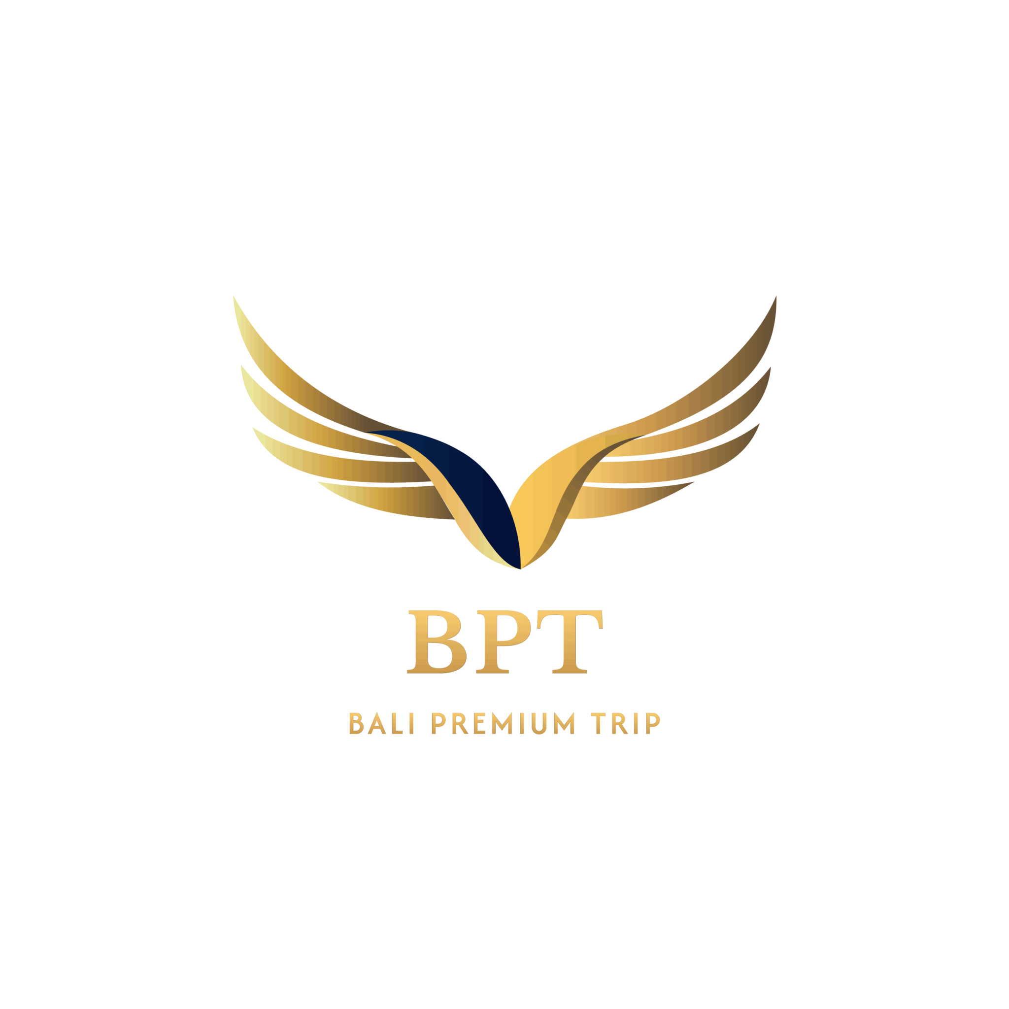 Bali Sky Diving with TheSkydiveBali – Your Ultimate Tandem Sky Dive ...